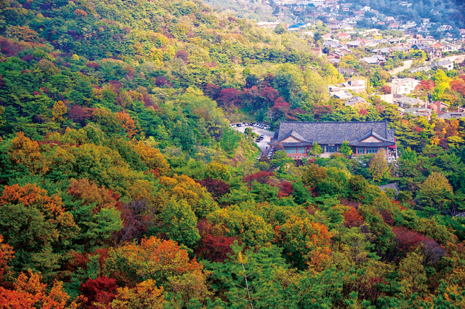 POLY Seongbuk | Korea, Republic of > Seoul-si > Seongbuk-gu : TheWorknPlay